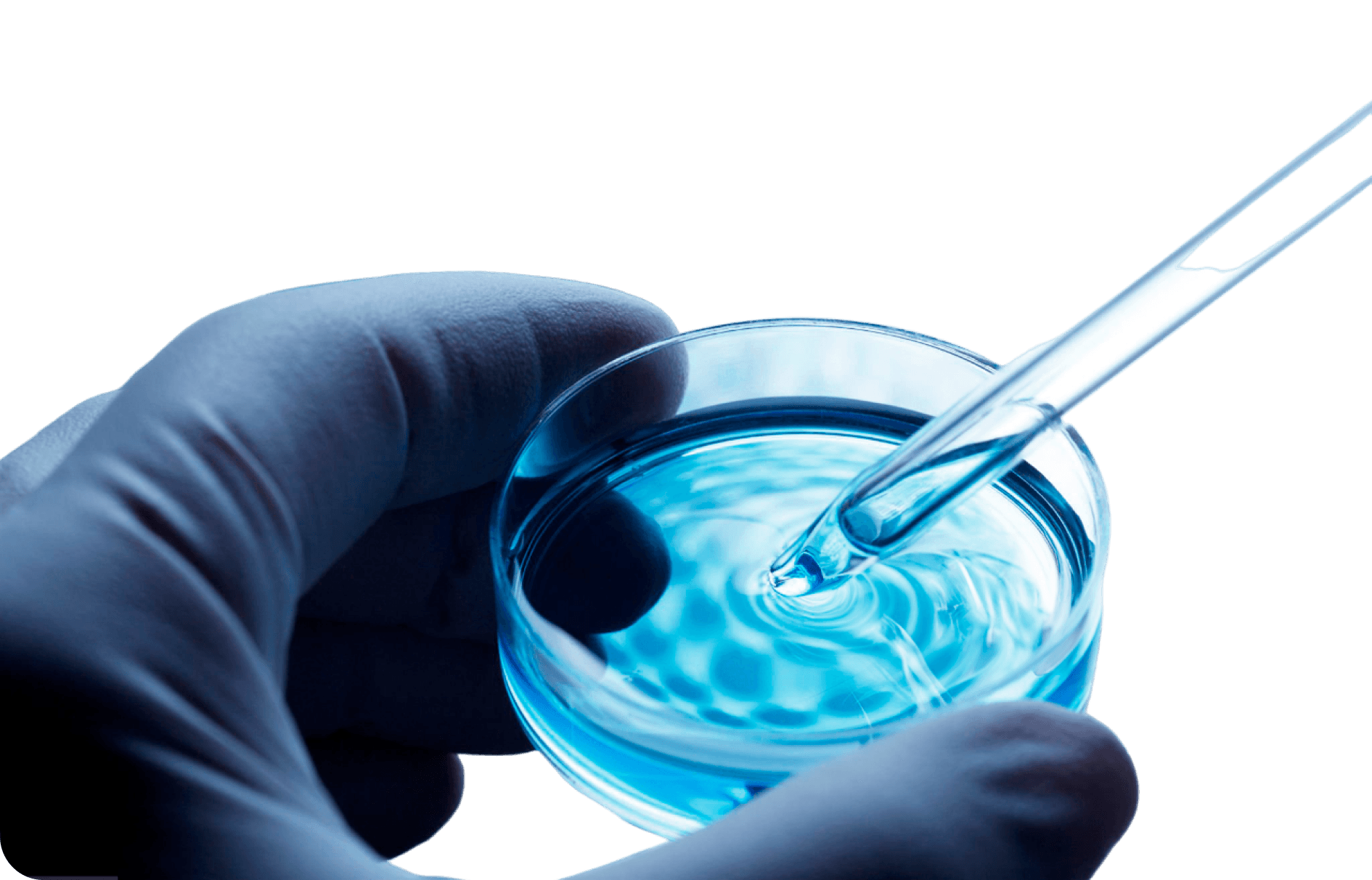 Sustainea - Innovation in renewable chemicals